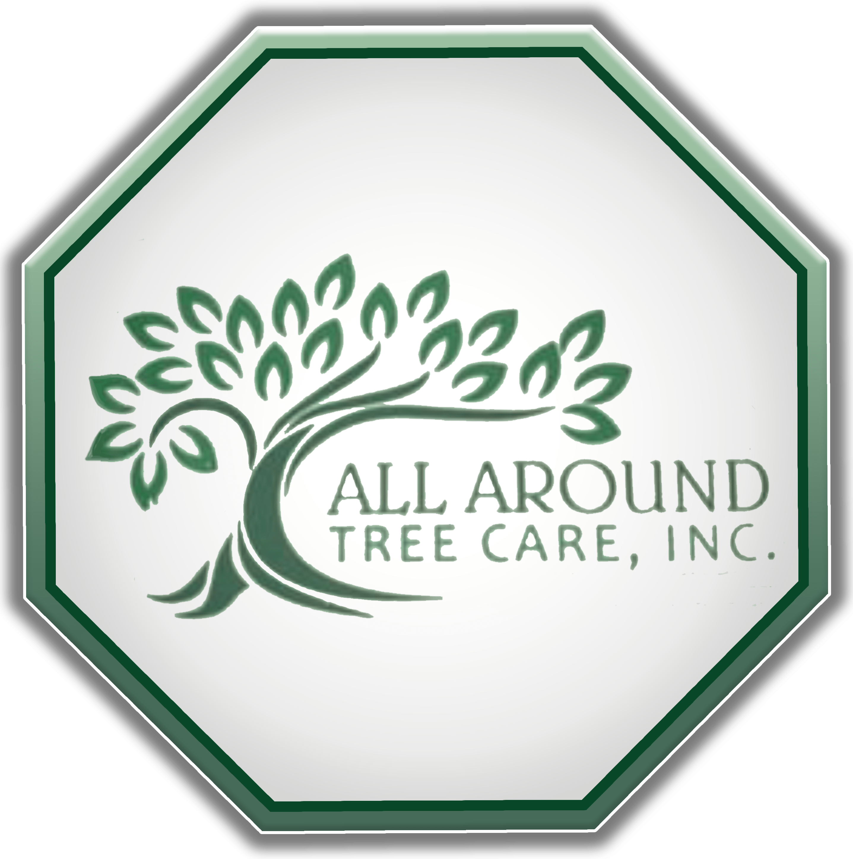 All Around Tree Care Offers Landscaping in Cathedral City, CA 92234